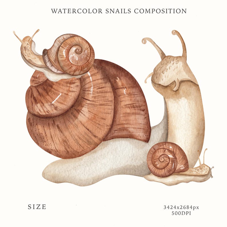 Watercolor Snail Clipart, Cute Snails PNG, Gardening Snail, Autumn ...