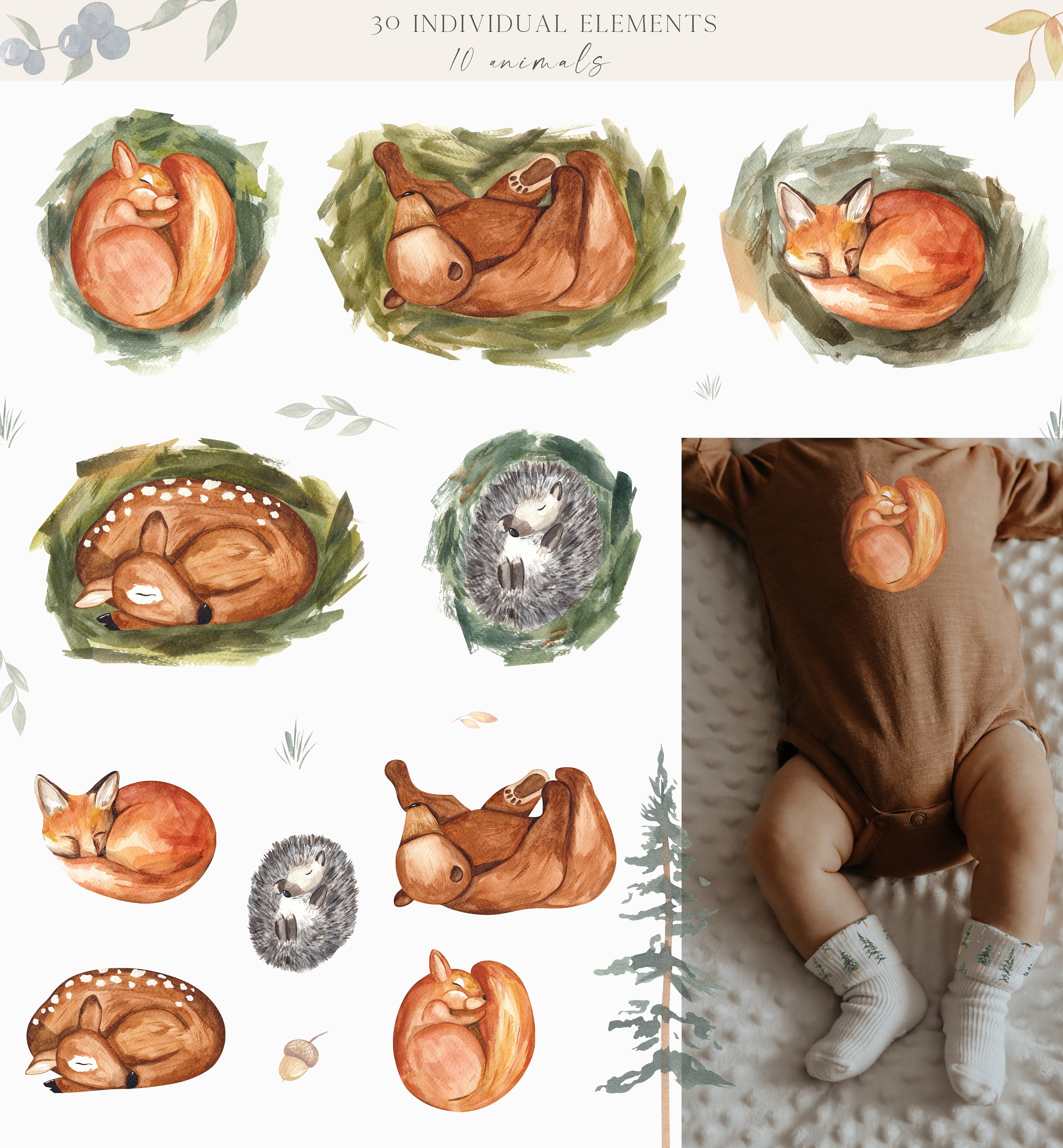 Watercolor Forest Sleeping Animals Clipart, Baby Woodland, Nursery ...