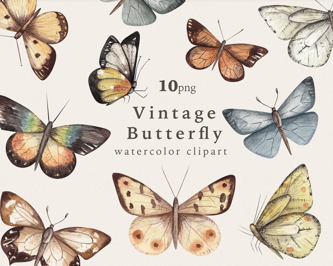 Watercolor Butterfly Clipart Set: Vintage Garden Insects (500 DPI PNG ...