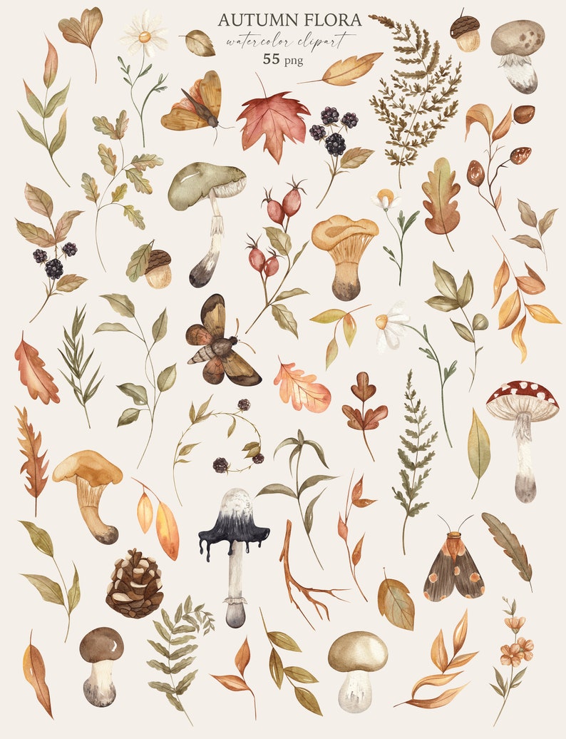 Watercolor Autumn Forest Clipart Flora Fall Leaves Butterflies ...