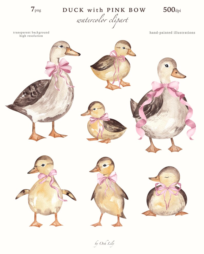 Pink Bow Duck Watercolor Clipart: Nursery Animal PNG (500 DPI ...