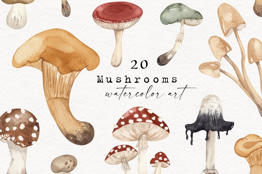 Watercolor Mushroom Clipart: Forest Autumn Elements (PNG) - Etsy