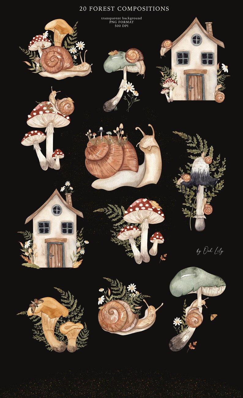 Watercolor Magic Forest Clipart Woodland Animal Snails Tales Mushrooms ...