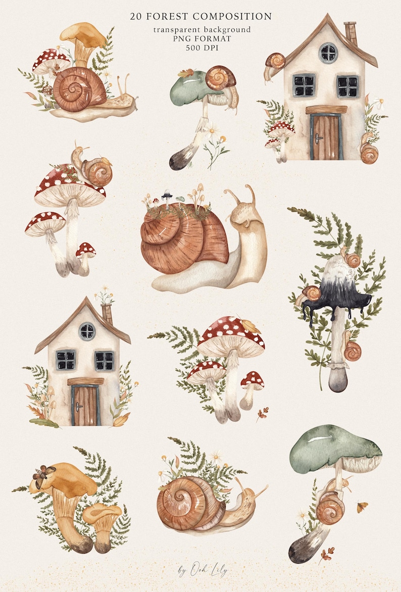 Watercolor Forest Clipart: Magic Snails, Mushrooms, Ferns (PNG) - Etsy