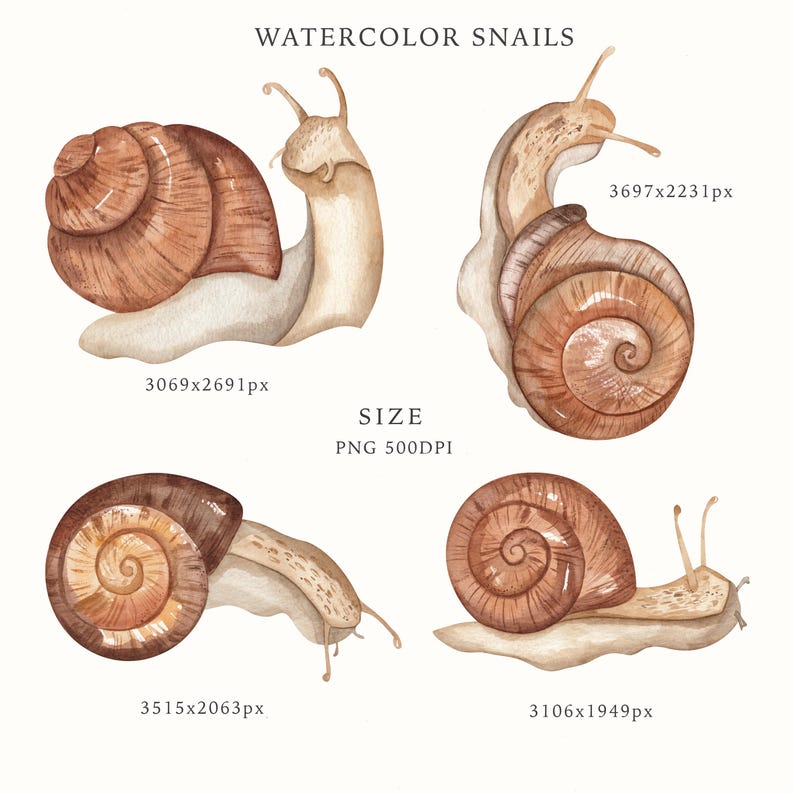 Watercolor Snail Clipart, Cute Snails PNG, Gardening Snail, Autumn ...