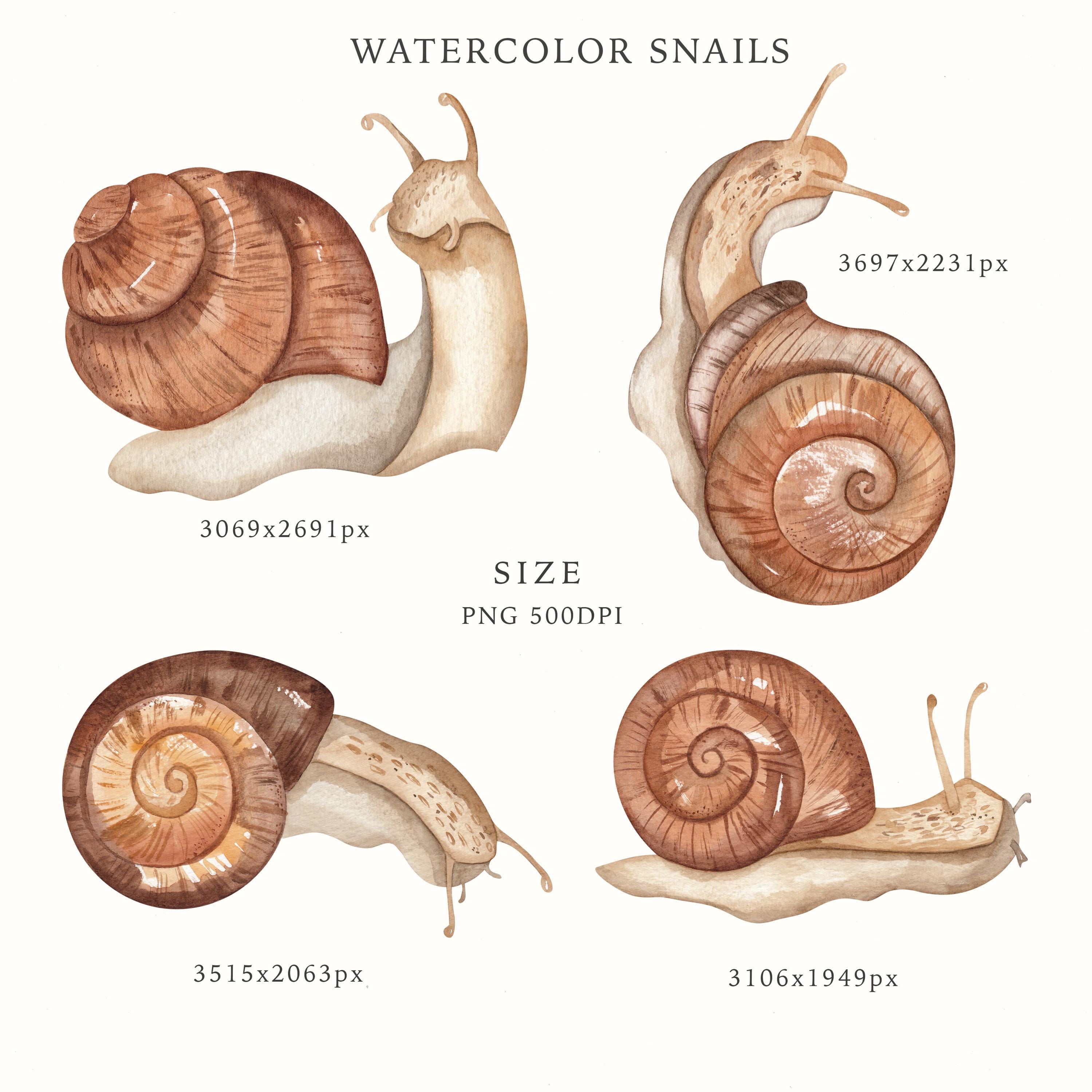 Watercolor Snail Clipart, Cute Snails PNG, Gardening Snail, Autumn ...