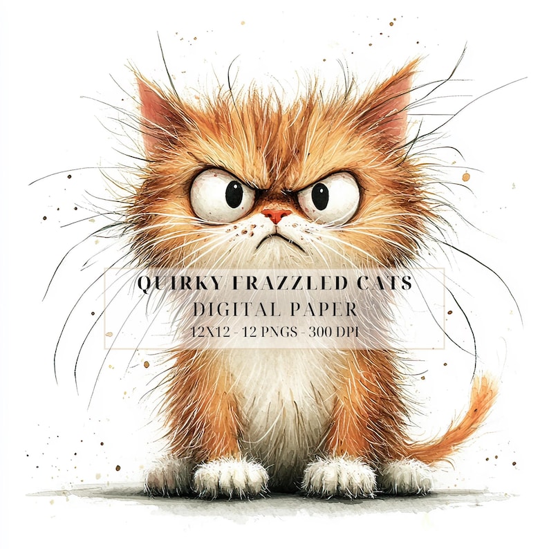 Quirky Frazzled Cats Clipart | Funny Cat Illustrations | Grumpy ...