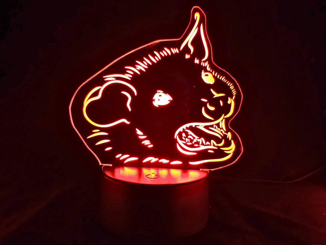 Opossum Light Custom Night Light Possum Night Light Color Changing ...