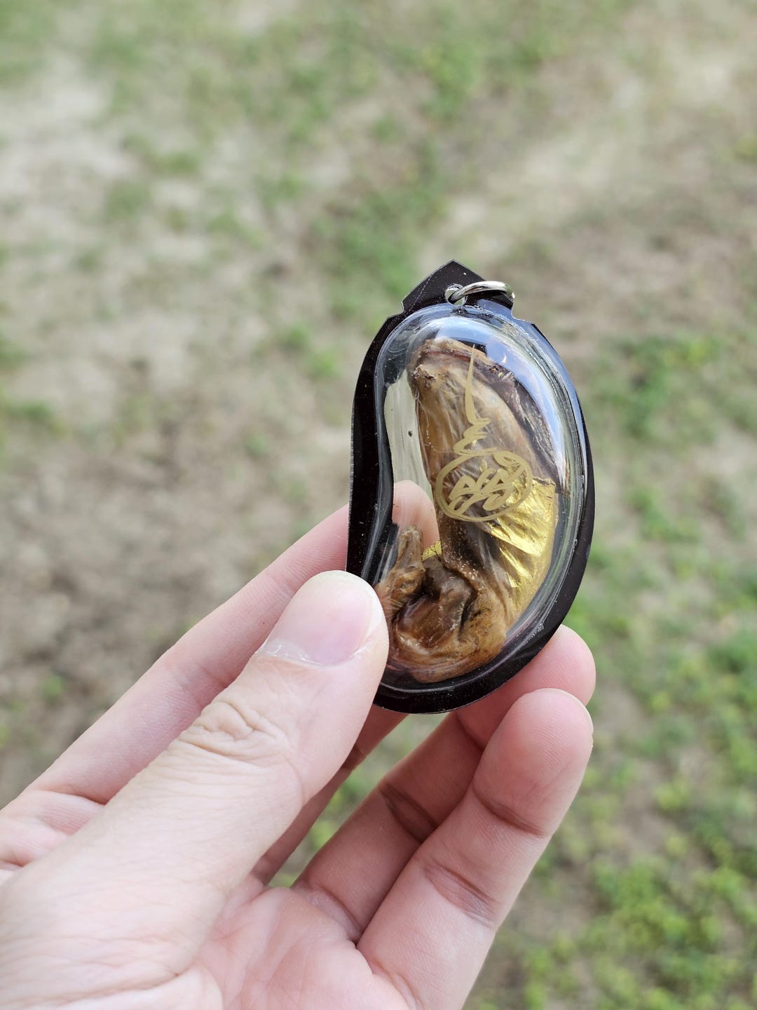 Buy Rare Thai Amulet Cat Placenta Wealth Magic Attract Power Money ...