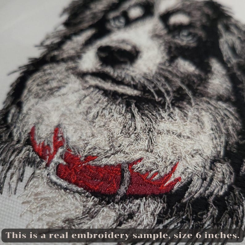 Australian Shepherd Dog Machine Embroidery Design – Digital Dog Emb ...