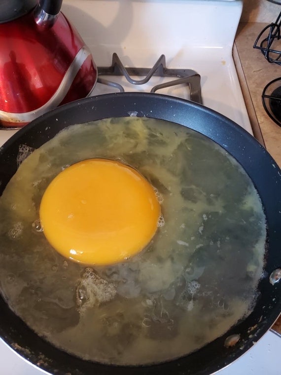 Ostrich Egg Fried