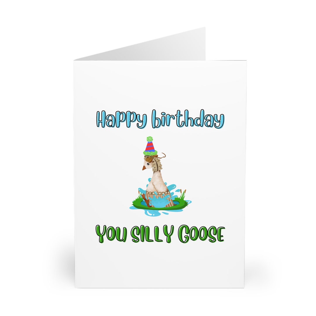 Happy Birthday You Silly Goose, Pack of A5 Blank Inside Goose Birthday ...