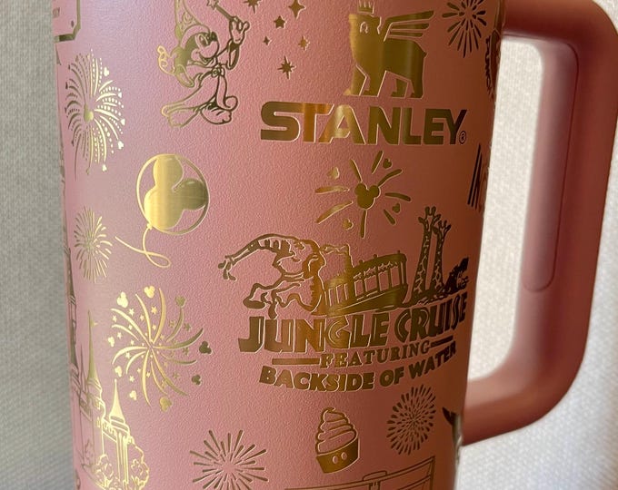 Disney's Magic Castle/disneyland Inspired Custom 40oz Stanley Tumbler W ...
