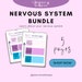 Nervous System Bundle - Etsy