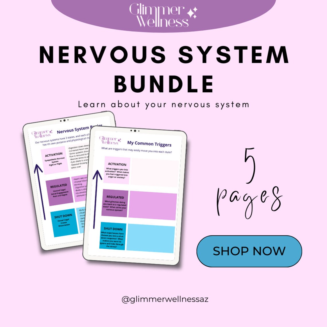 Nervous System Bundle - Etsy