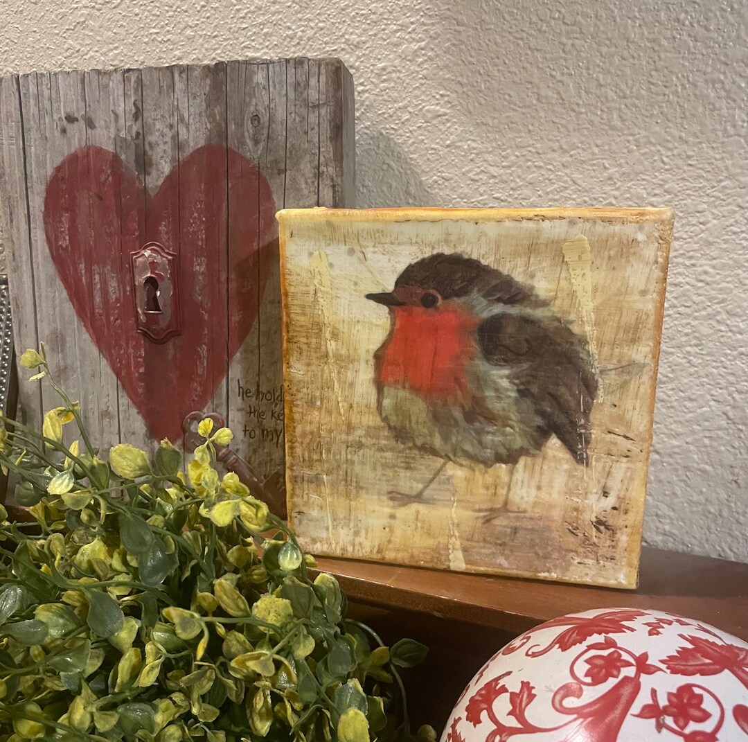 Chubby Robin 6x6 Encaustic Art Canvas,cute Robin Theme Spring Sign ...