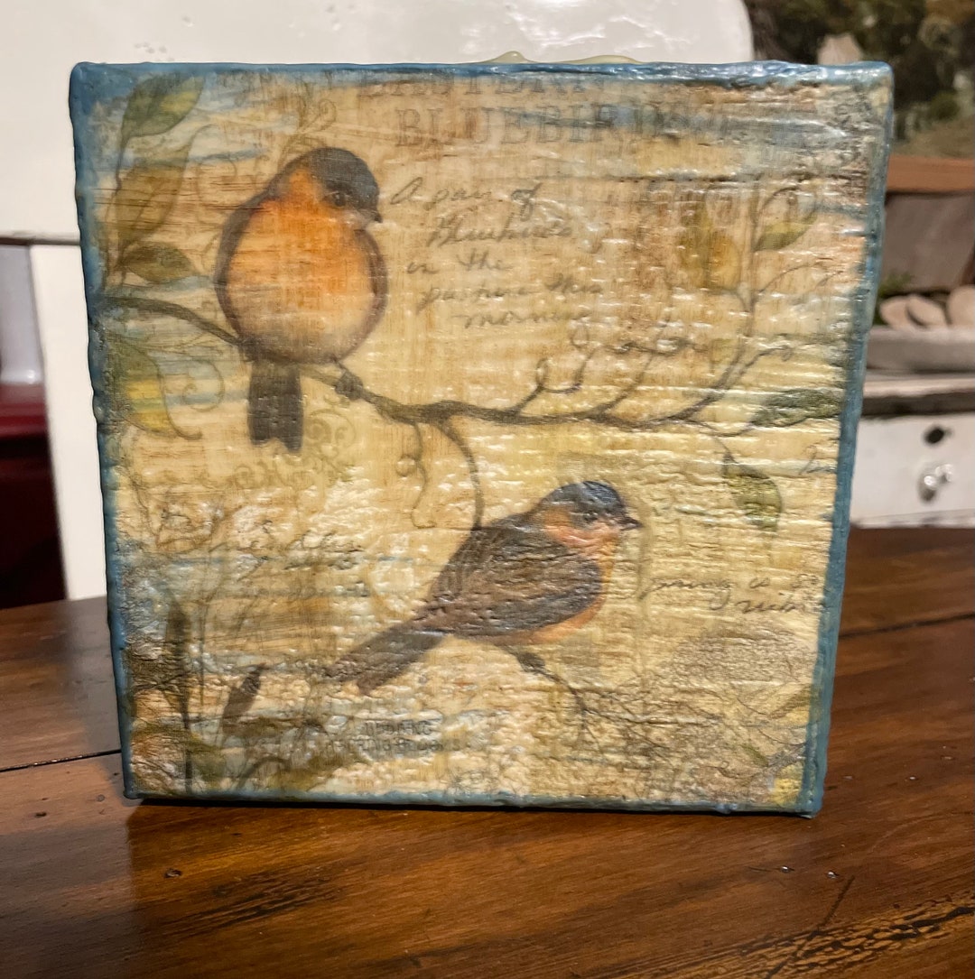 Eastern Bluebird Blue Border Home Decor, Spring Decor, Summer Decor ...