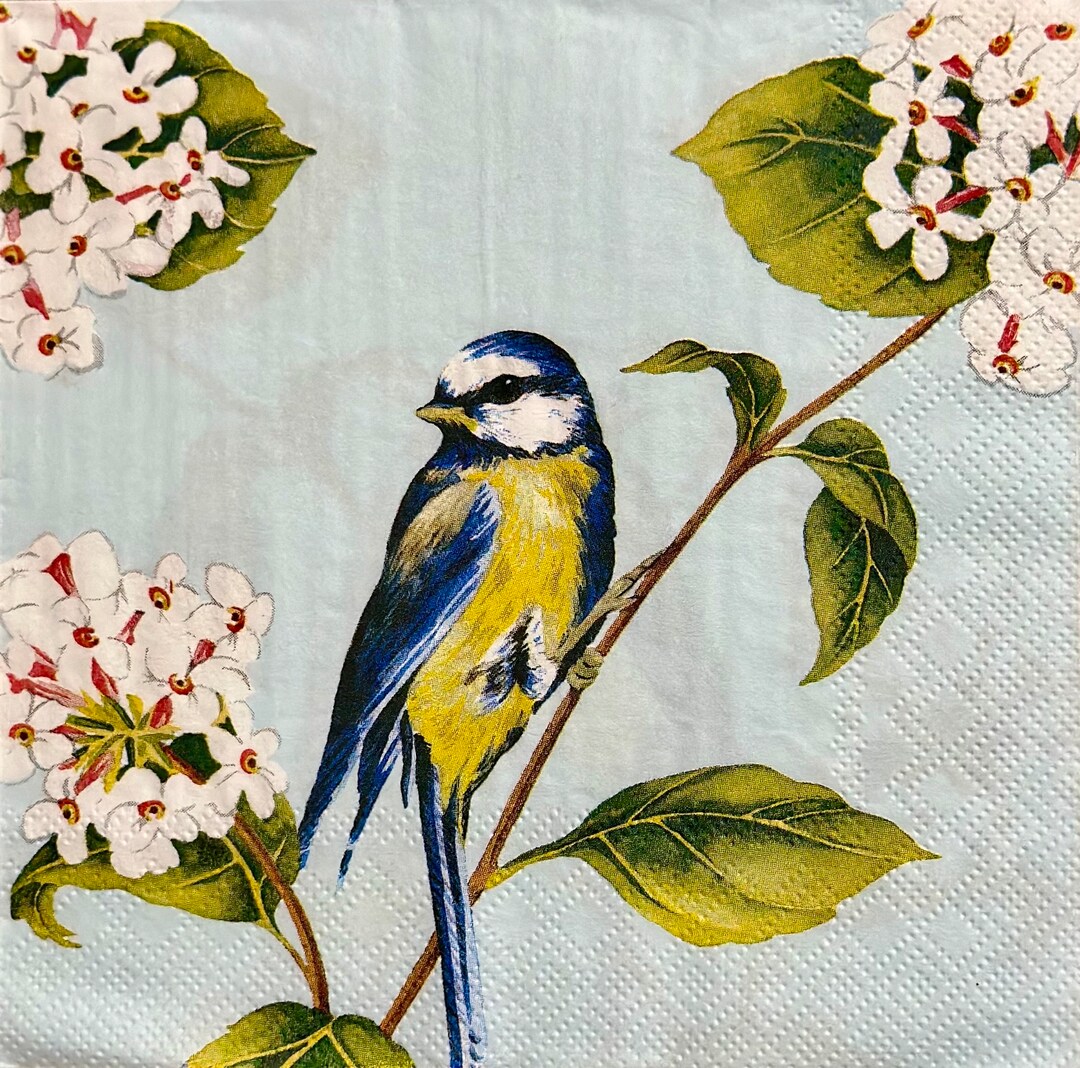 Bluebird Spring Luncheon Napkin Party Decoupage Crafting - Etsy