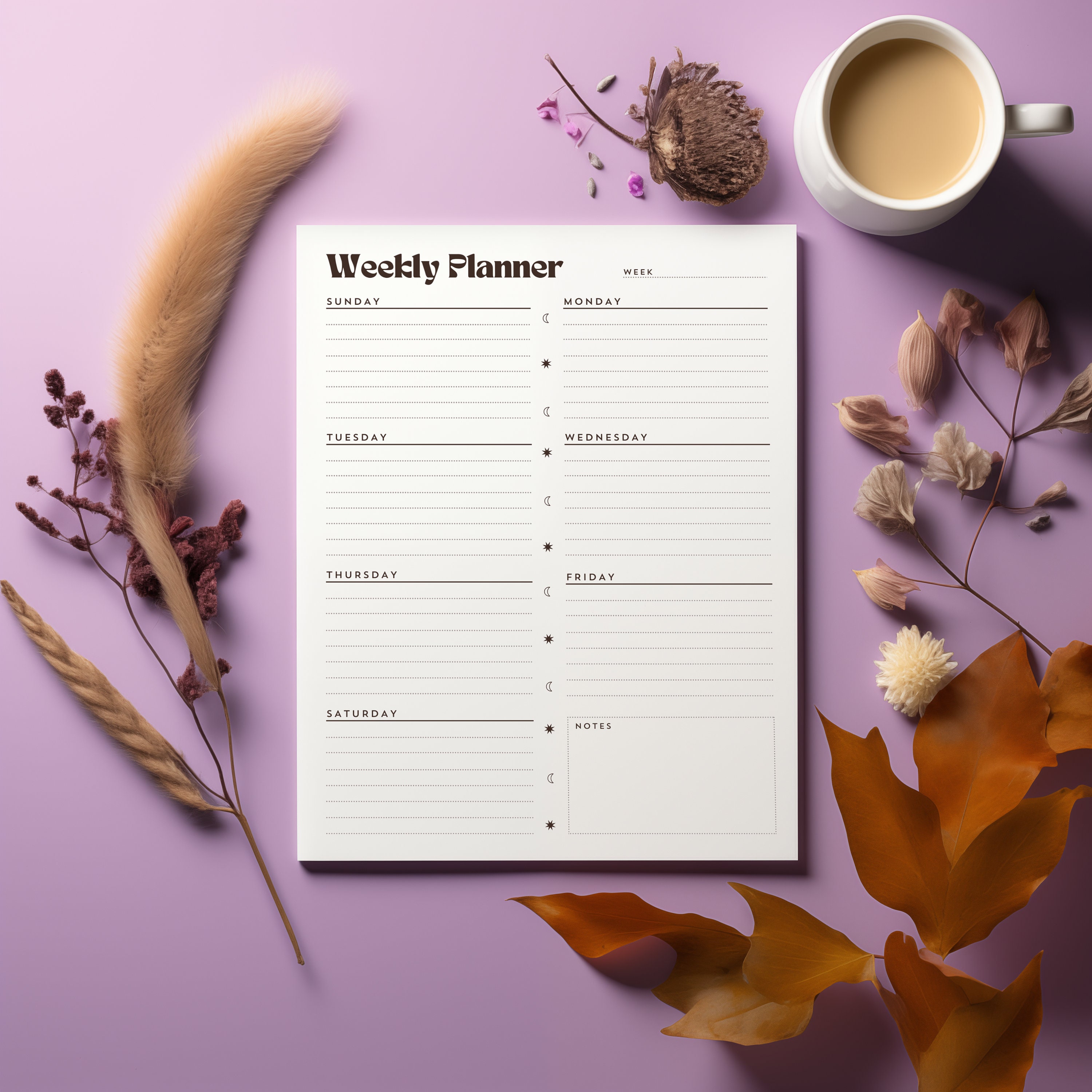 Boho Four Pack Bundle - Daily, Weekly, Gratitude, and Goal Planners ...