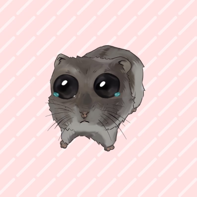 SAD HAMSTER VTUBER Cute Meme Animal Avatar Live2d Model Fully Rigged ...