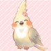 Cute Bird Cockatiel Vtuber Mascot Avatar - Rigged Chibi Animal Live2d ...