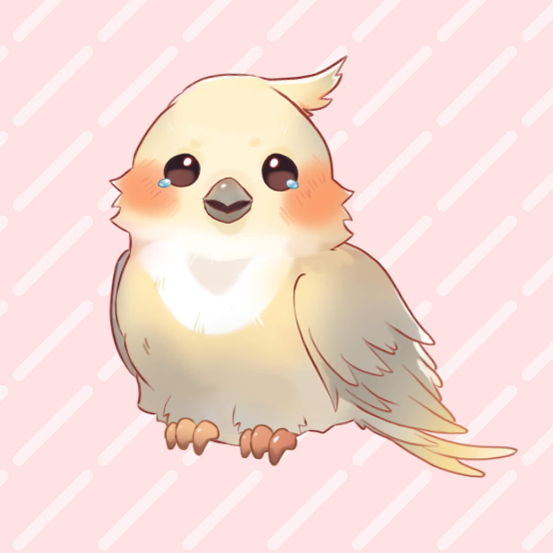 Cute Bird Cockatiel Vtuber Mascot Avatar - Rigged Chibi Animal Live2d ...