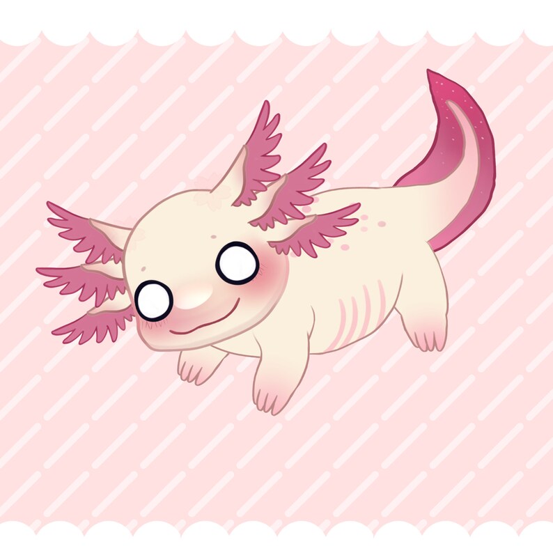 CUSTOMIZABLE AXOLOTL VTUBER Mascot Avatar With Expressions Rigged Chibi ...