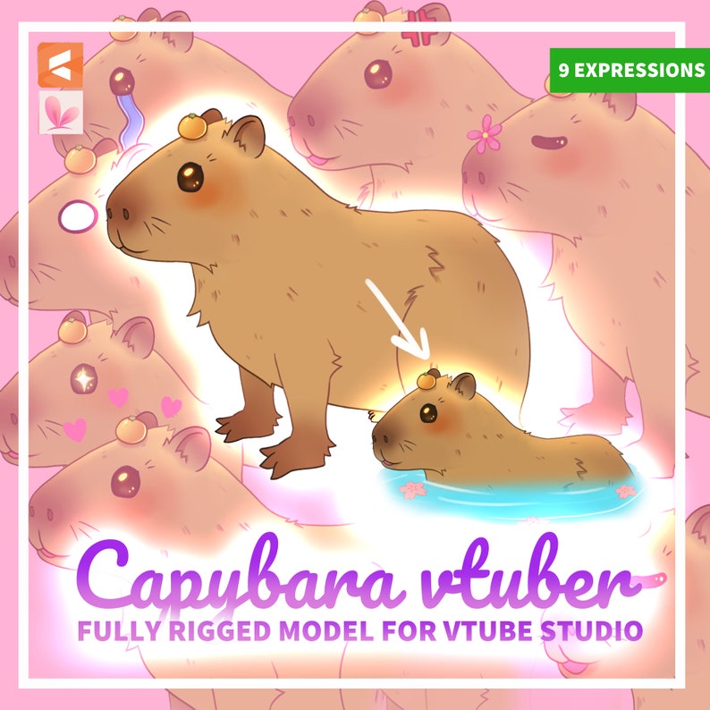 CAPYBARA VTUBER in Changeable POOL - Cute Meme Animal Avatar Live2d ...