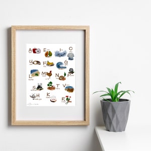 Faitau Pi: the Samoan Alphabet Poster (digital Download) - Etsy