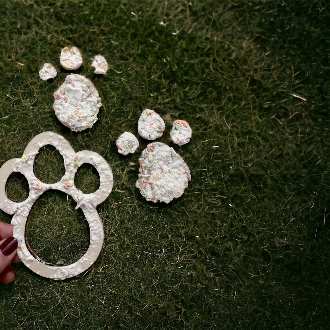 Easter Bunny Footprint Wood Stencils, Easter Morning Bunny Feet, Flour ...
