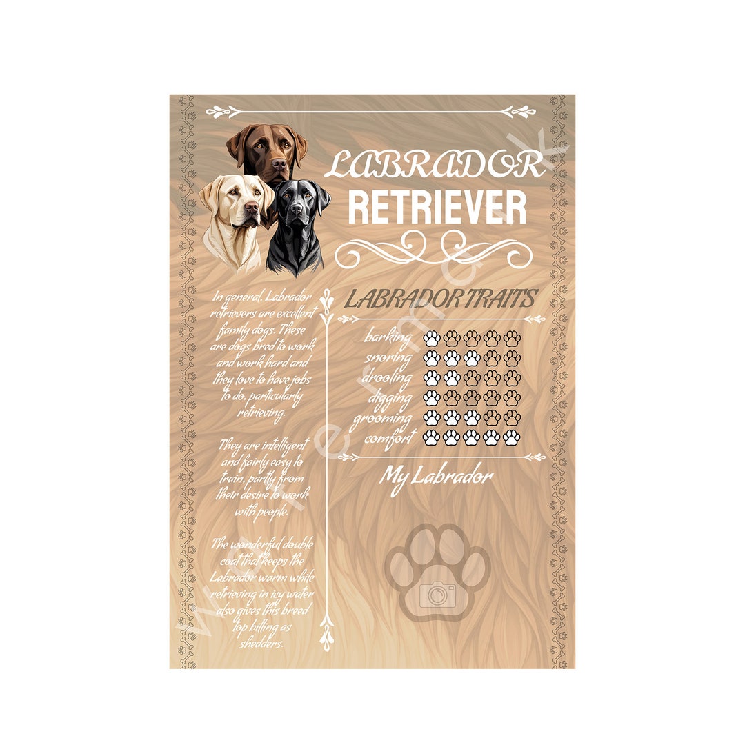 Labrador Retriever Dog Traits Poster Dog Traits Poster A3 Size Gift for ...