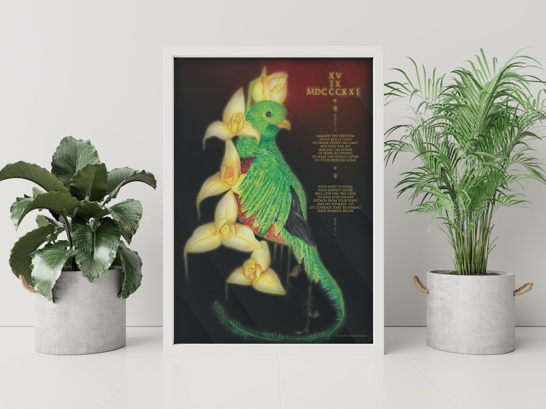 Quetzal Bird With Orchids Painting Print With Inspirational Poem - Etsy