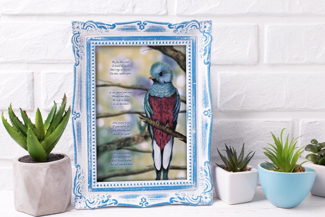 Quetzal Portrait With Poem - Etsy