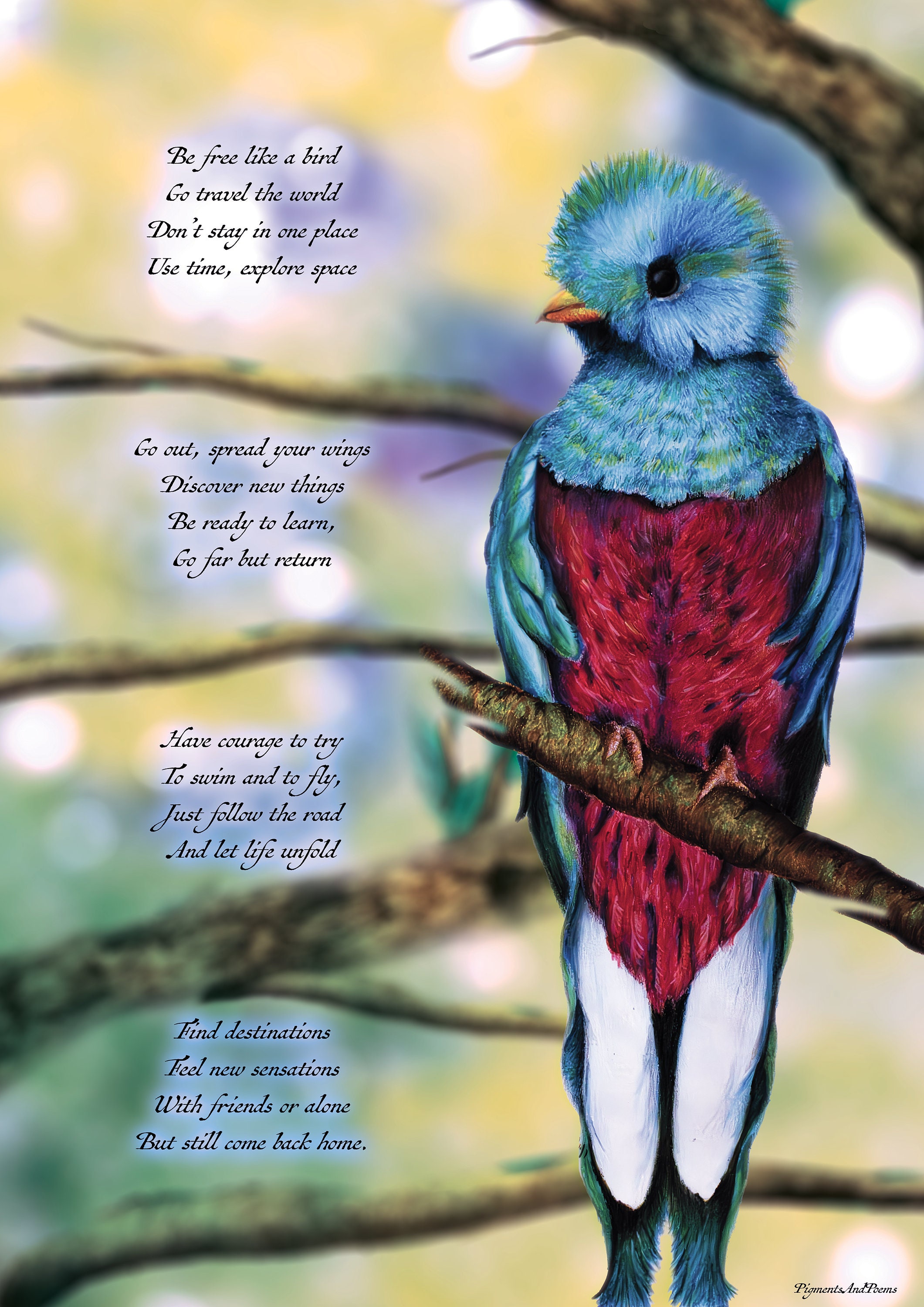 Quetzal Portrait With Poem - Etsy