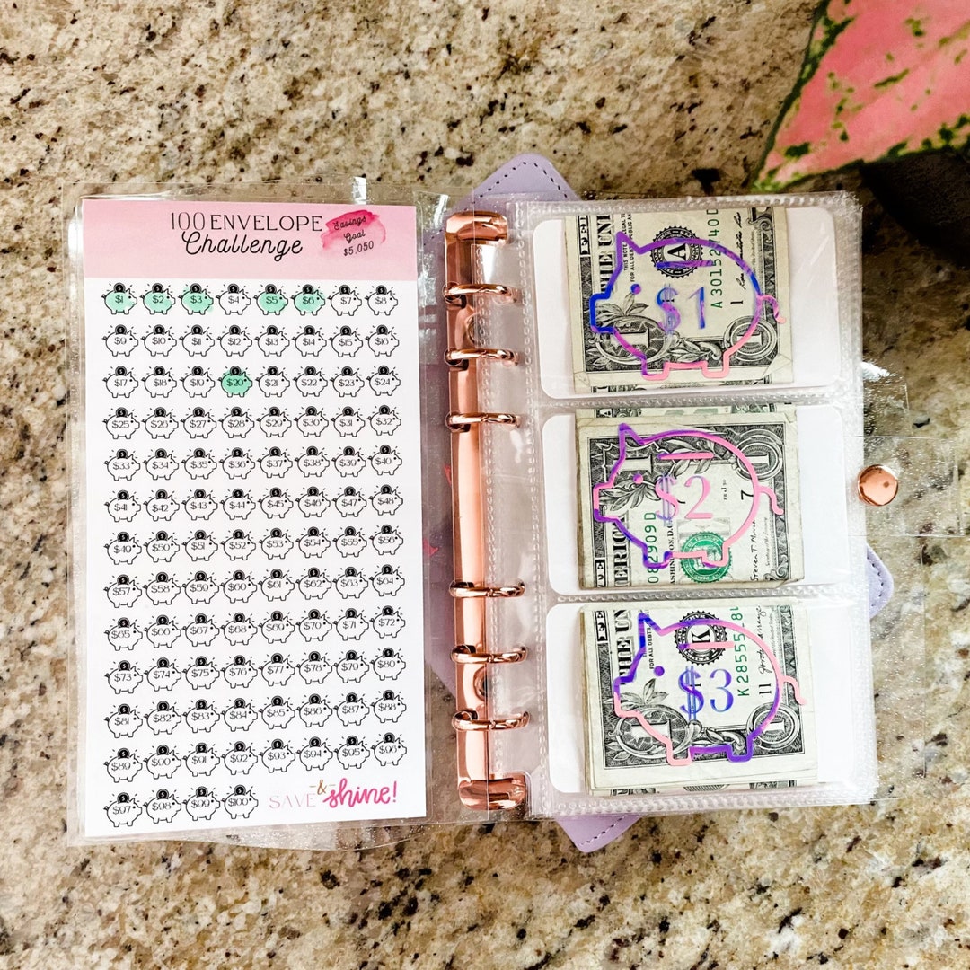 100 Envelope Cash Stuffing Challenge Booklet - Etsy