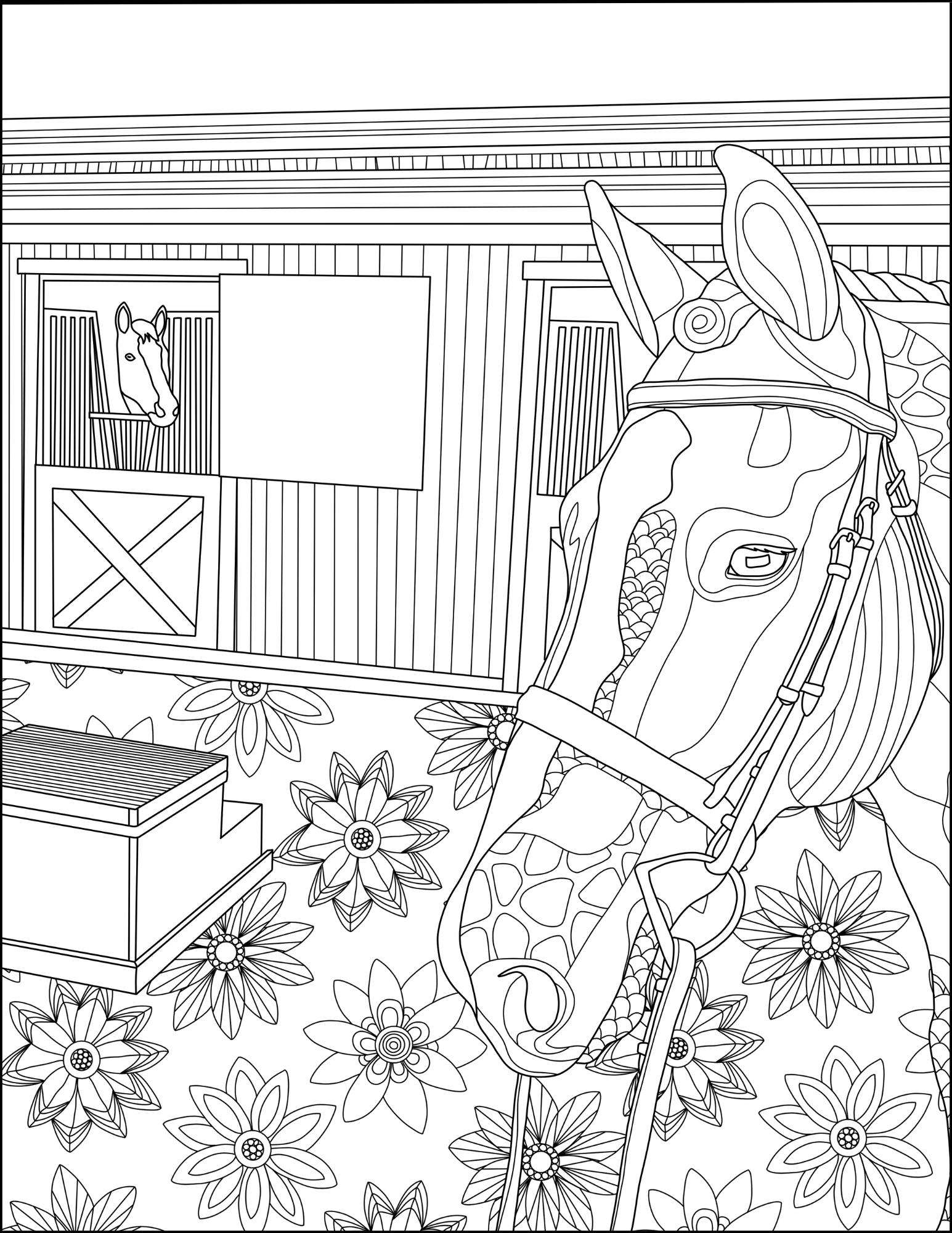 Horse A (15 Adult Coloring Pages) - Etsy