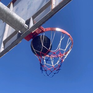 Airless Basketball 3D Printed Basketball Airless Ball 3D Printed Ball ...