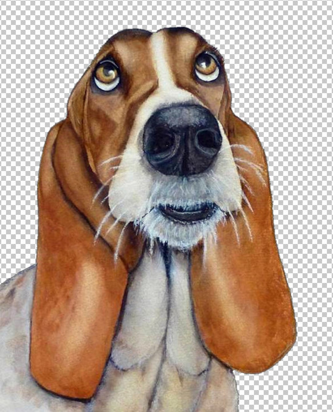Hand Drawn Watercolor Painting ... Hound Dog Eyes Digital Download ...
