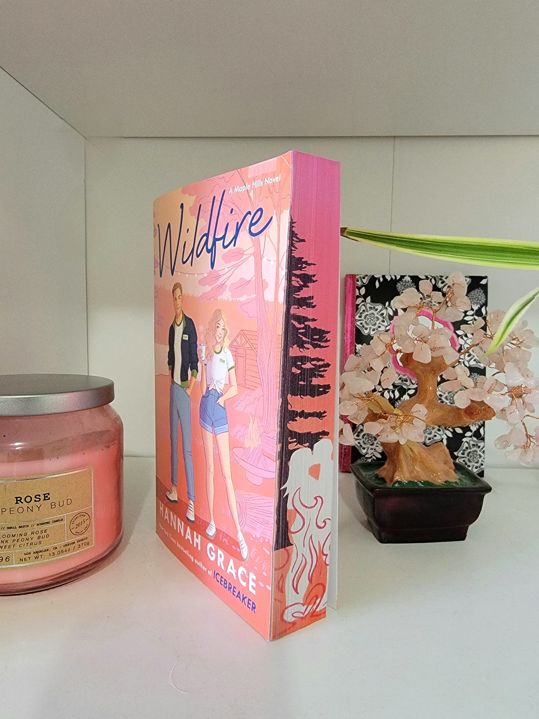 Wildfire by Hannah Grace Sprayed Edges, Sprayed Edge Books, Custom ...