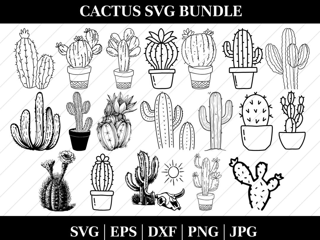 Cactus SVG Bundle: Succulent Cut Files for Cricut, Silhouette (digital ...