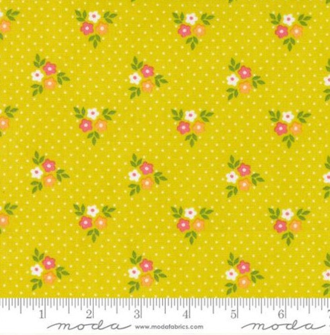 Strawberry Lemonade Fabric -lemonade Color - Etsy