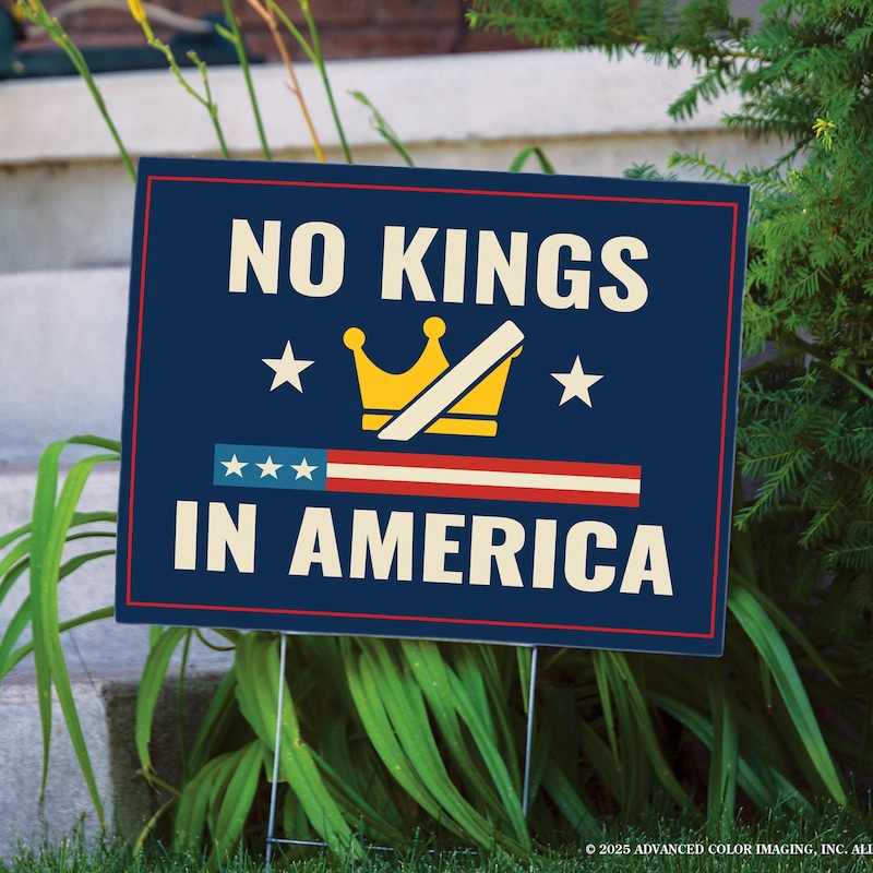 No Kings Protest Signs - Etsy