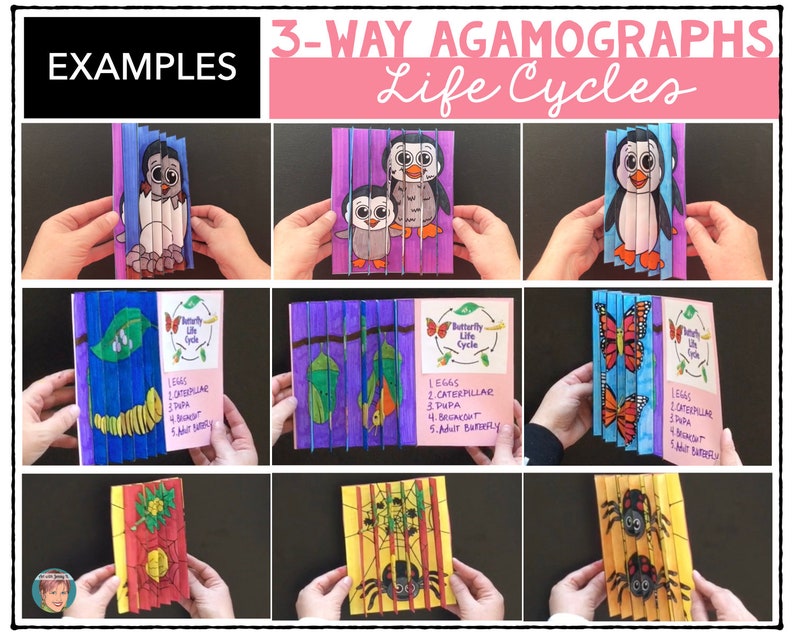Printable Collection of Life Cycle 3-way Agamographs, Incl. Butterfly ...