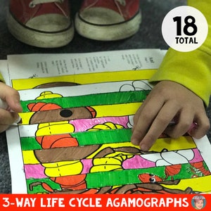 Printable Collection of Life Cycle 3-way Agamographs, Incl. Butterfly ...