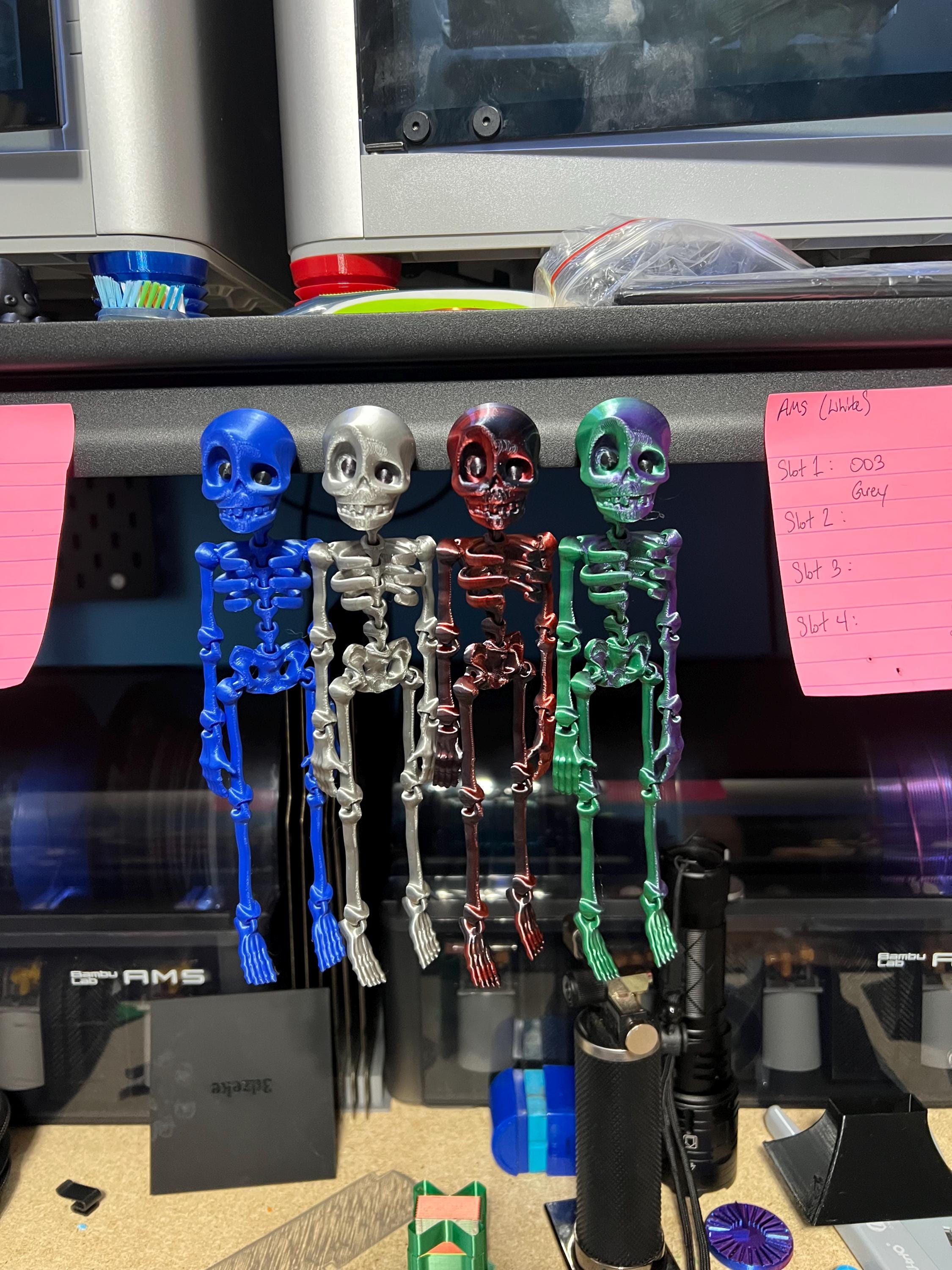 Articulating Skeleton – 3D Printed With Magnet - Etsy