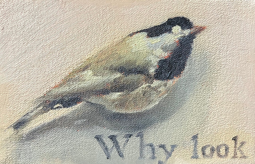 Why Look? - Etsy