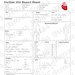 RN Cardiac ICU Report Sheet, Structured Report Sheet for Rns in Cardiac ...