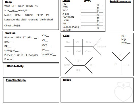 RN Cardiac ICU Report Sheet, Structured Report Sheet for Rns in Cardiac ...