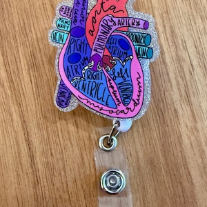 Anatomical Heart Retractable ID Badge Reel | Badge Holder for Medical ...