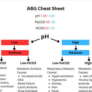 Arterial Blood Gas Cheat Sheet for Nurses | ABG Flow Sheet | Nursing ...